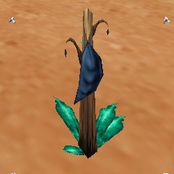 Colban Plant - leaftidewiki